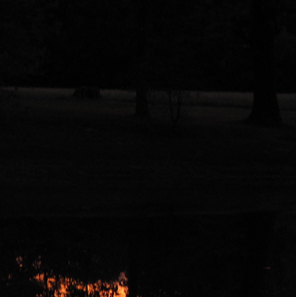 Shaken Awake - Made SacredMade Sacred