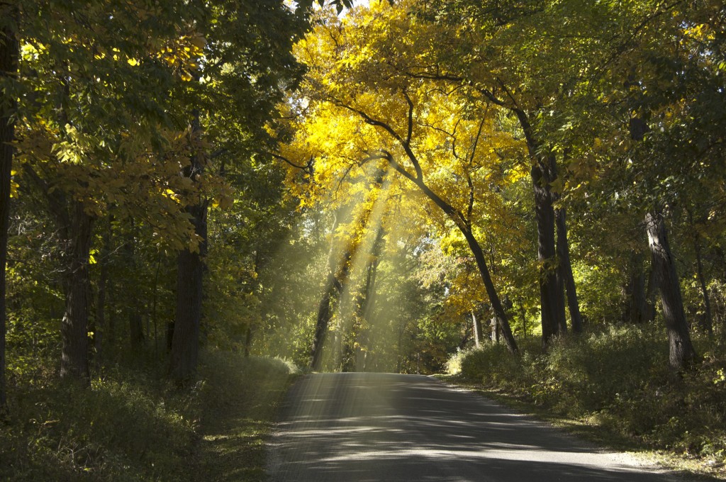 Certainty and Faith - Made SacredMade Sacred